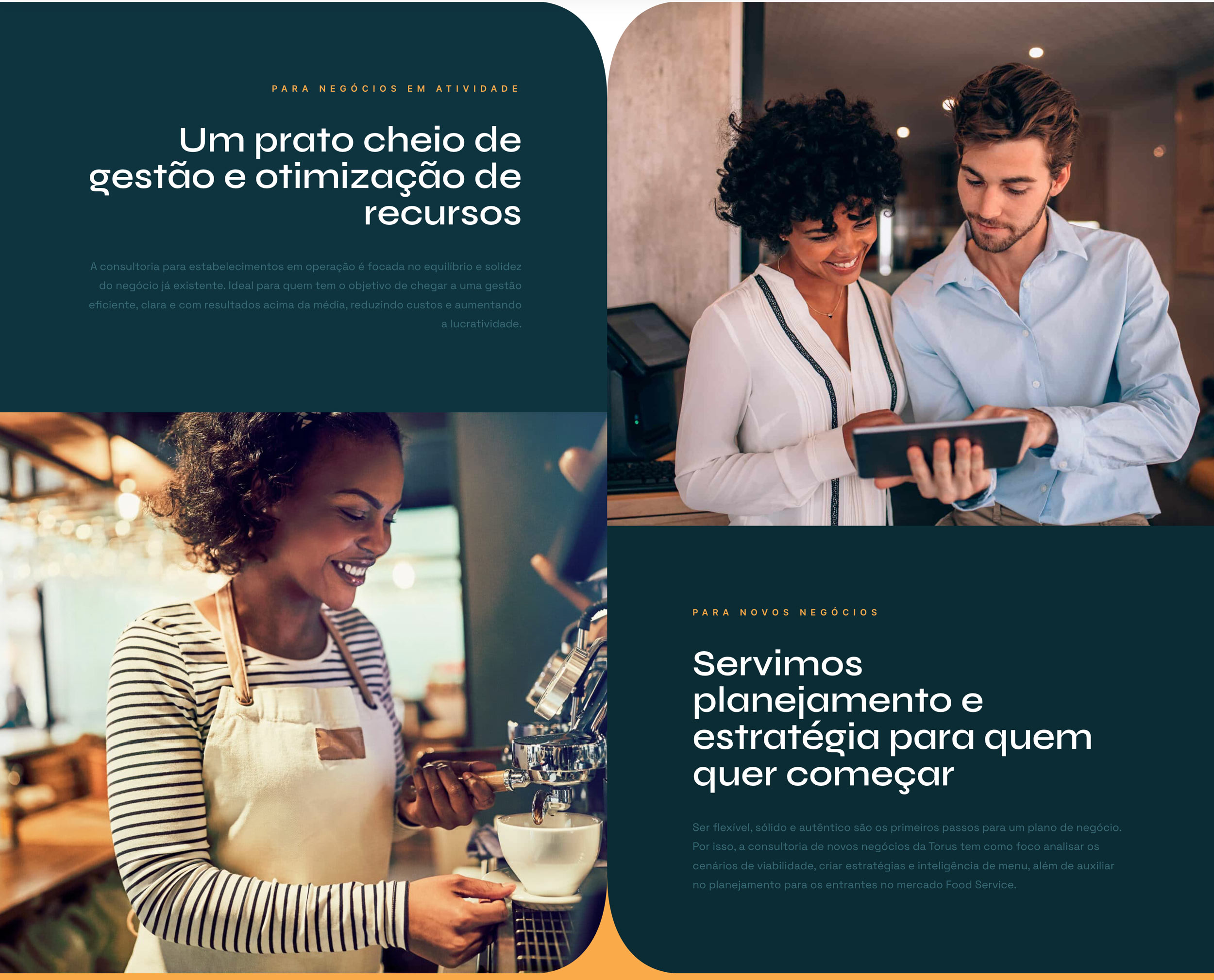 Torus® - Barbas Digital