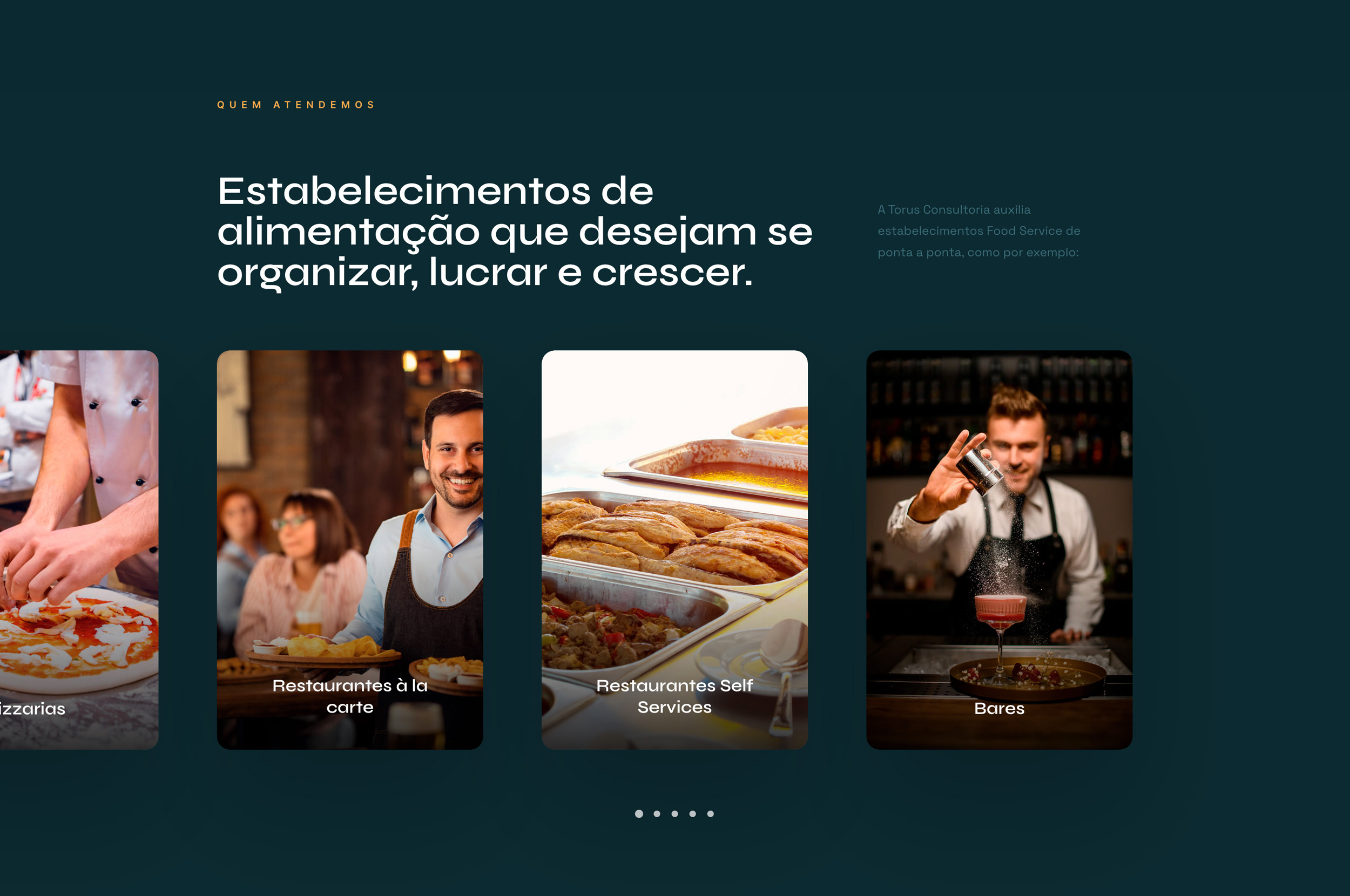 Torus® - Barbas Digital