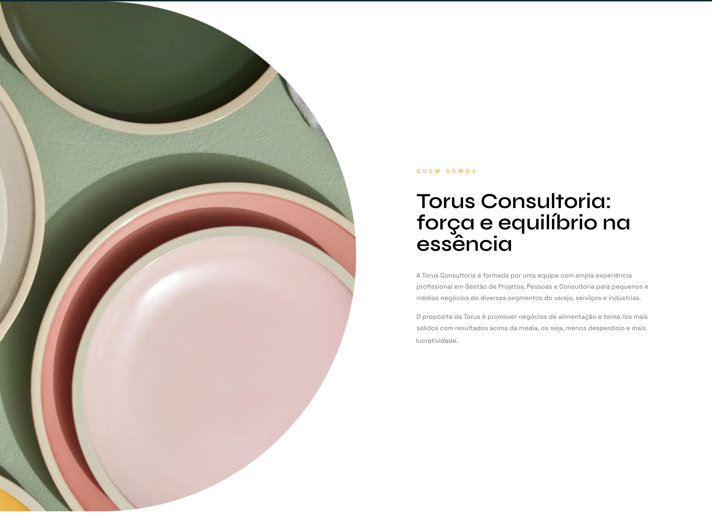 Torus® - Barbas Digital